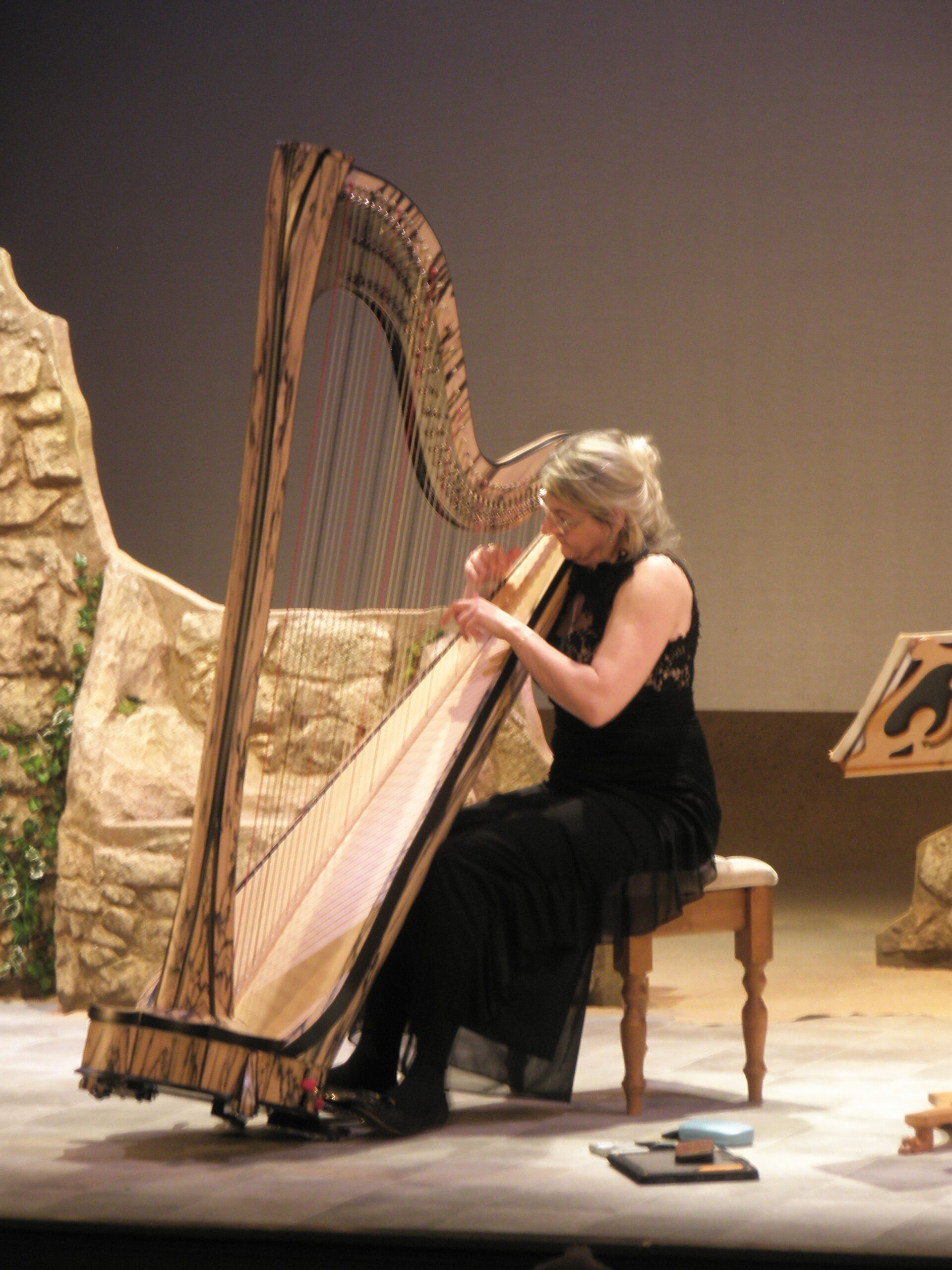Lunchtime Concert: The Glorious Harp | Theatre Royal